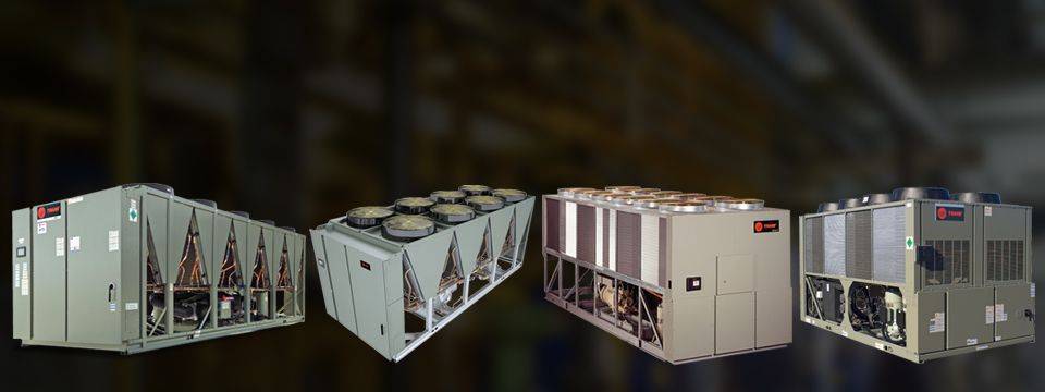 HALL EQUATORIAL LIMITED